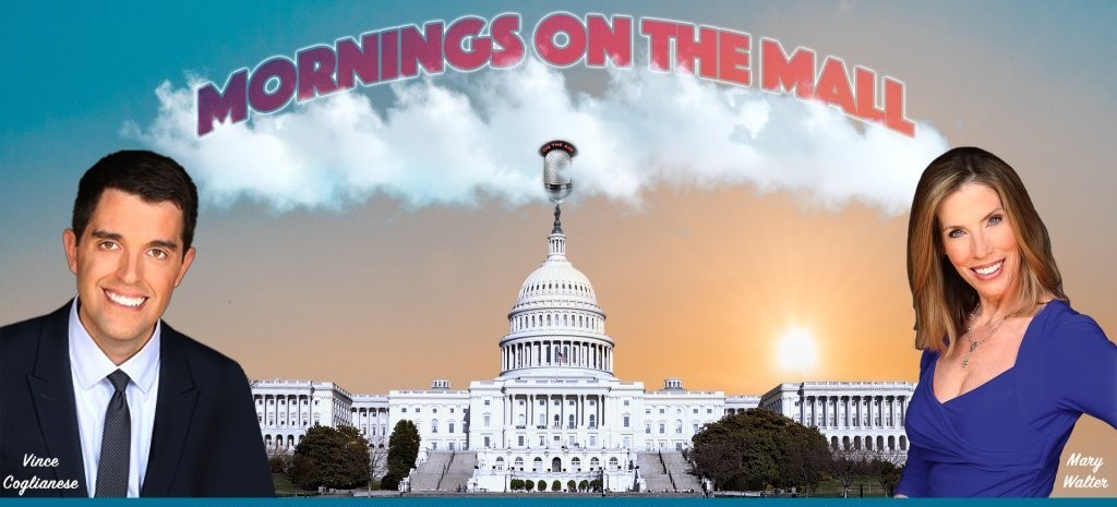 LISTEN: Pat Herrity on New Zoning Regulations - Fairfax County ...