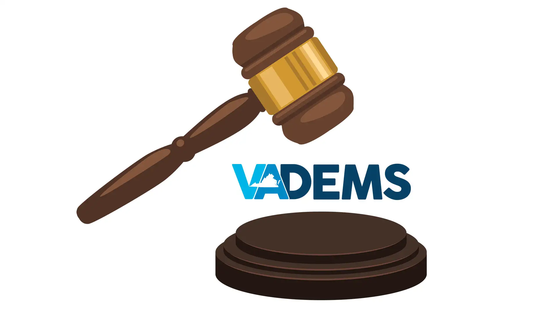 Virginia Judge Voids Redistricting Push, Rules Lawmakers Overstepped ...